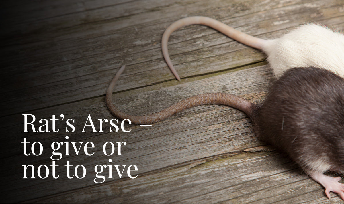 Rat’s Arse – to give or not to give - SallyDuxfield